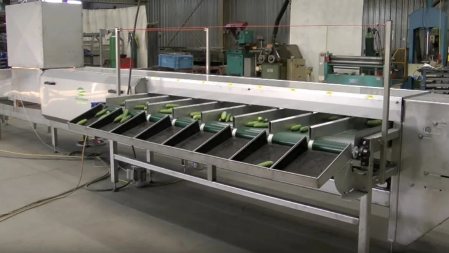 New Christiaens mini - midi cucumber sorting machine • Duijndam Machines