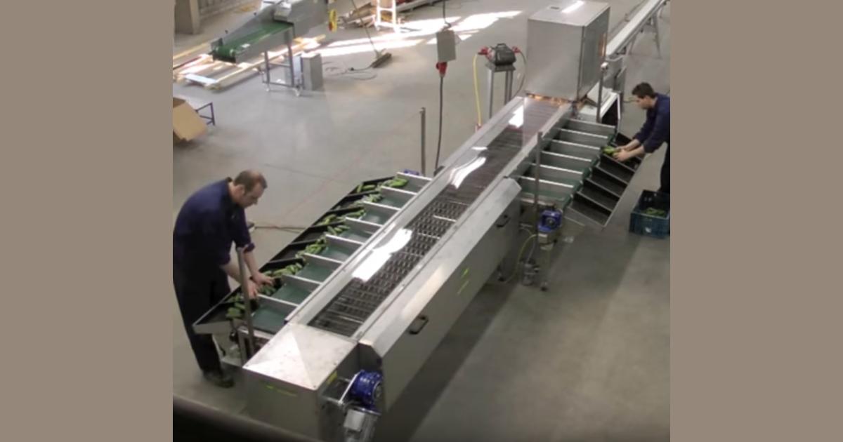New Christiaens mini - midi cucumber sorting machine • Duijndam Machines