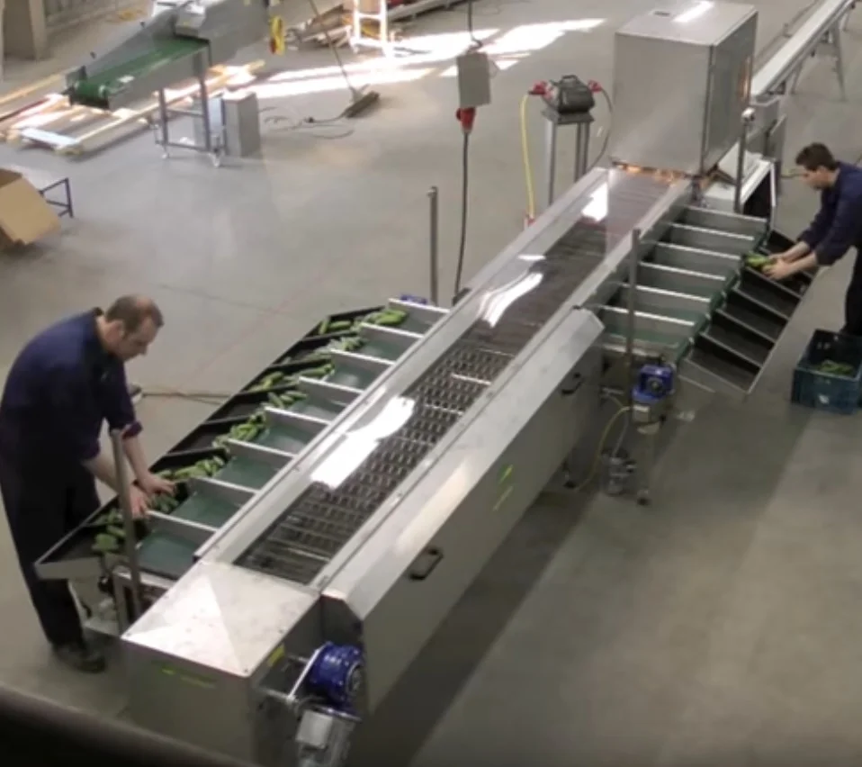 New Christiaens mini - midi cucumber sorting machine • Duijndam Machines