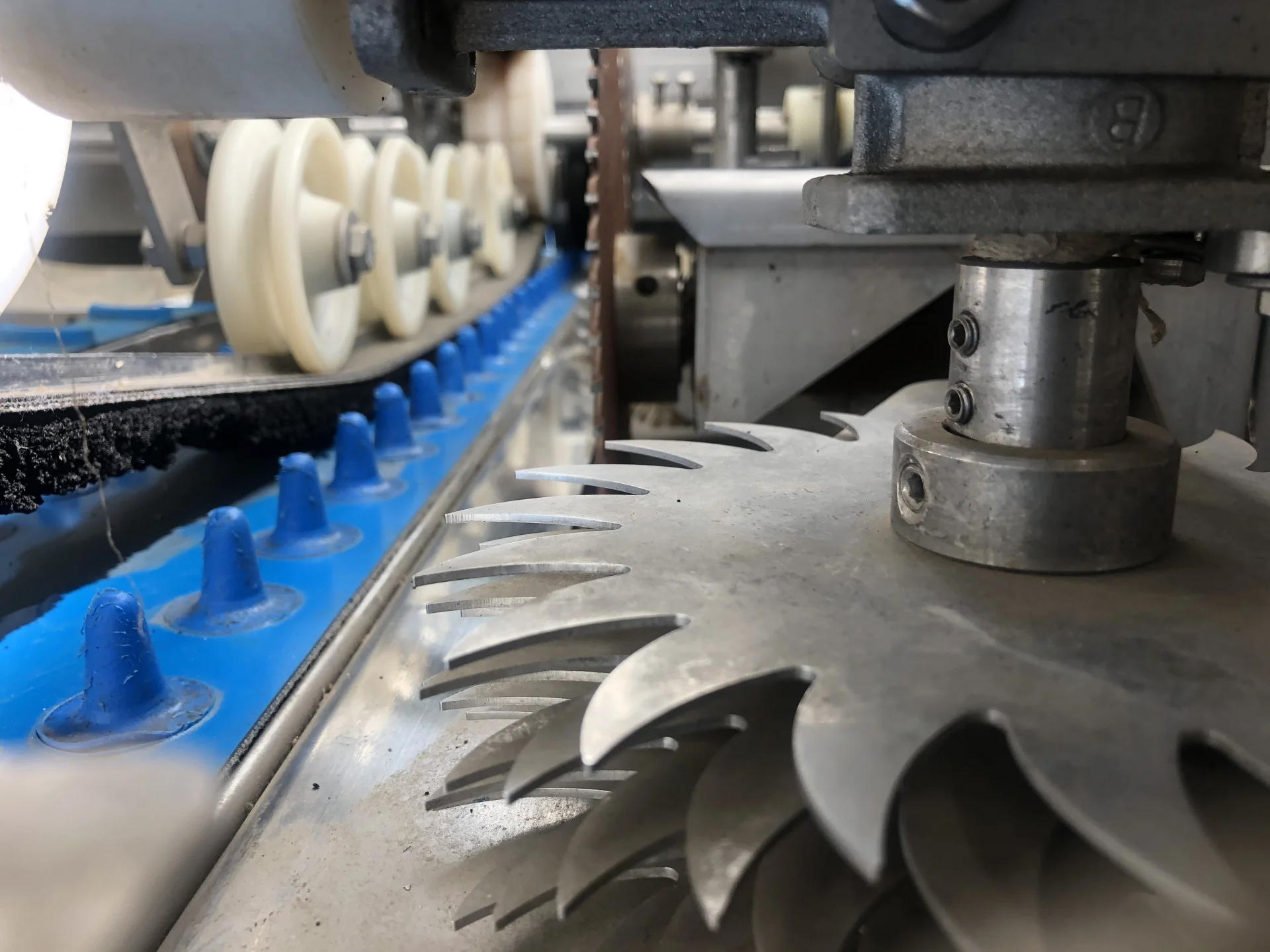 Christiaens stainless steel cutting machine for leek • Duijndam Machines