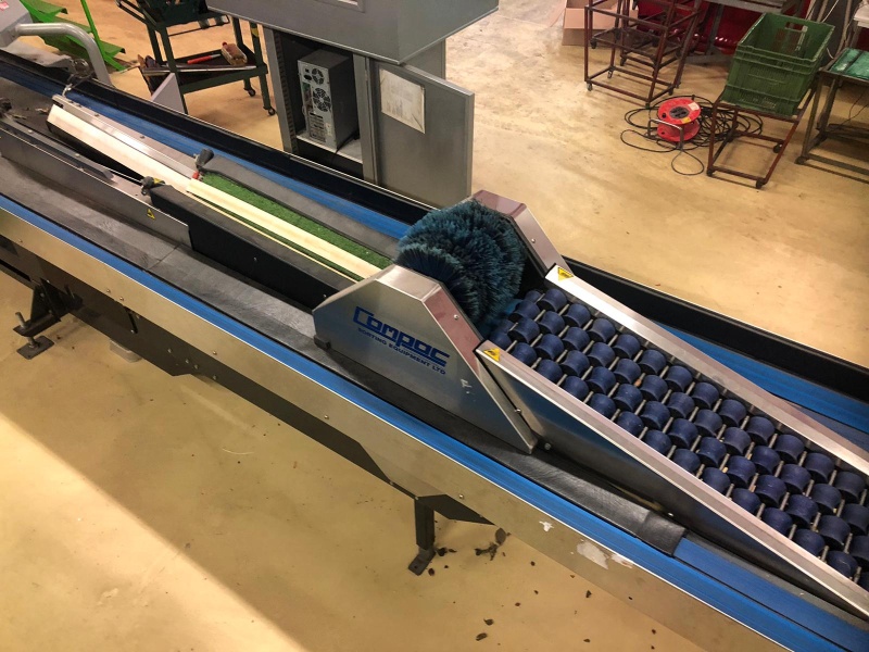 Compac electronic weight grader for apricots and plums • Duijndam Machines