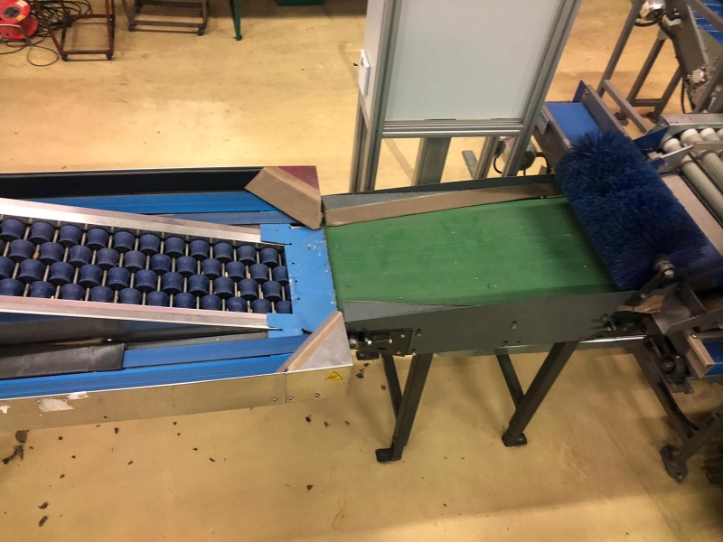 Compac electronic weight grader for apricots and plums • Duijndam Machines