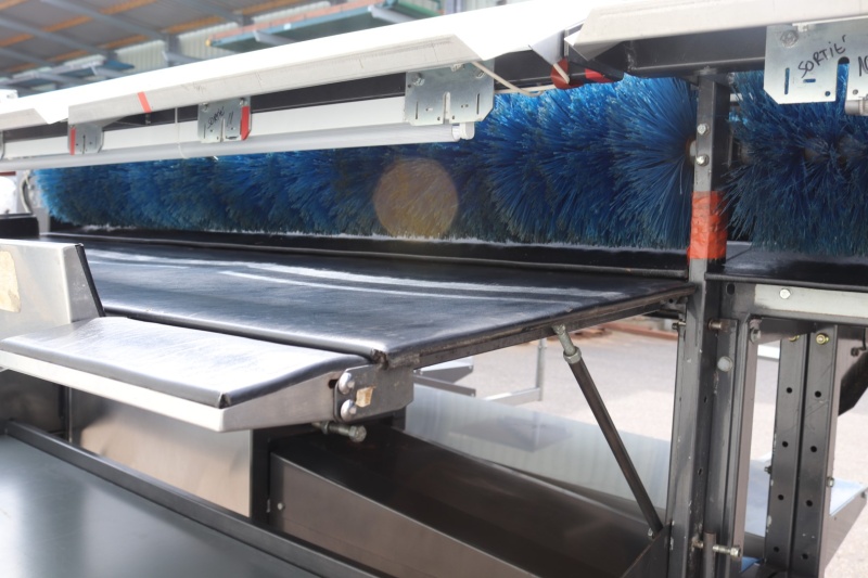 Compac electronic weight grader for apricots and plums • Duijndam Machines