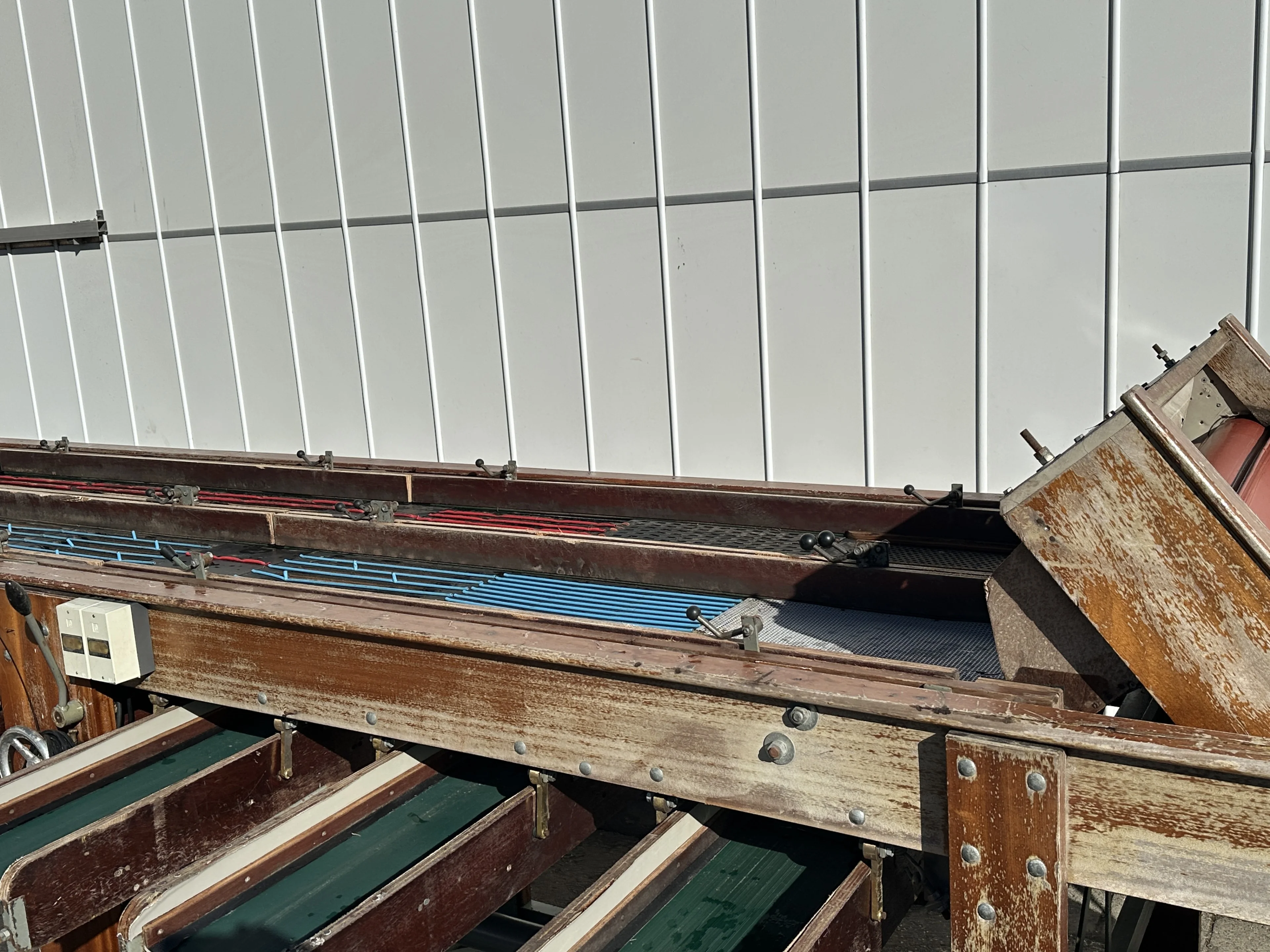 Compas sorting machine for flower bulbs and Brussels sprouts 6 + 1 ...