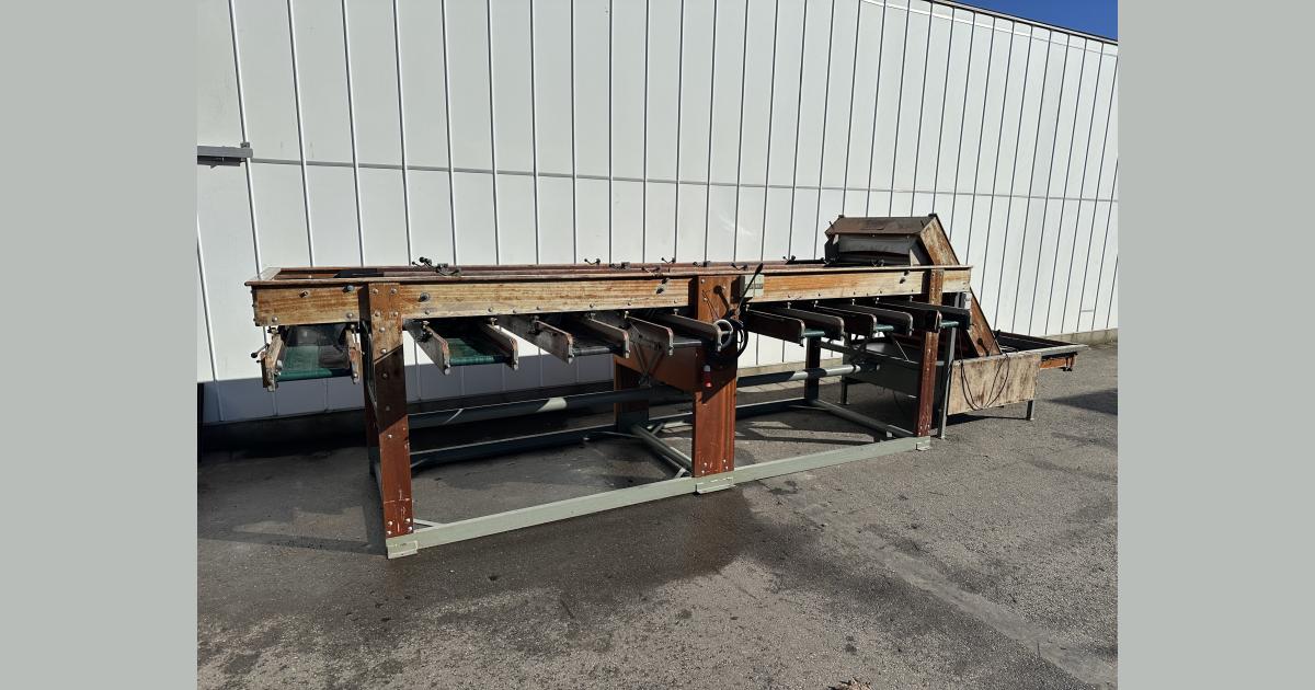 Compas sorting machine for flower bulbs and Brussels sprouts 6 + 1 ...