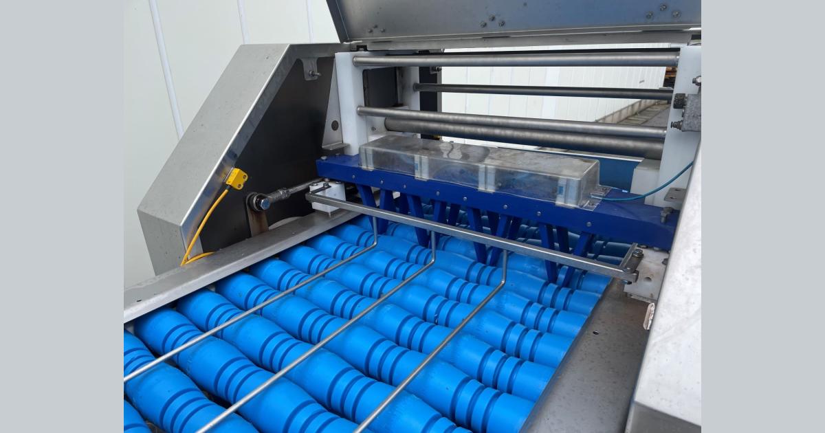 Dofra potato halving and quartering machine • Duijndam Machines