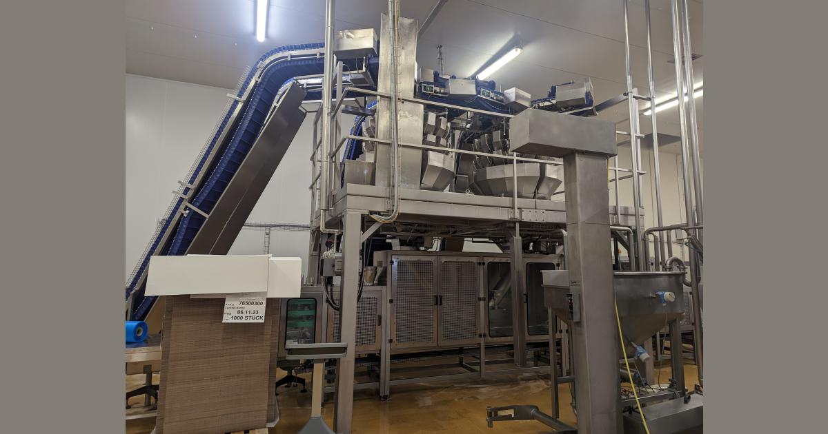 Double Ishida multihead weighing machines with platform • Duijndam Machines