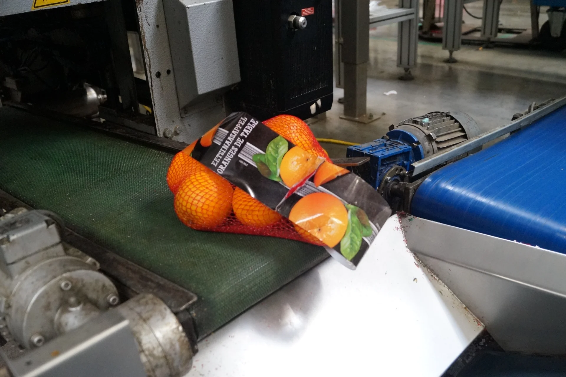 C-Pack net packaging machine / Girsac machine • Duijndam Machines