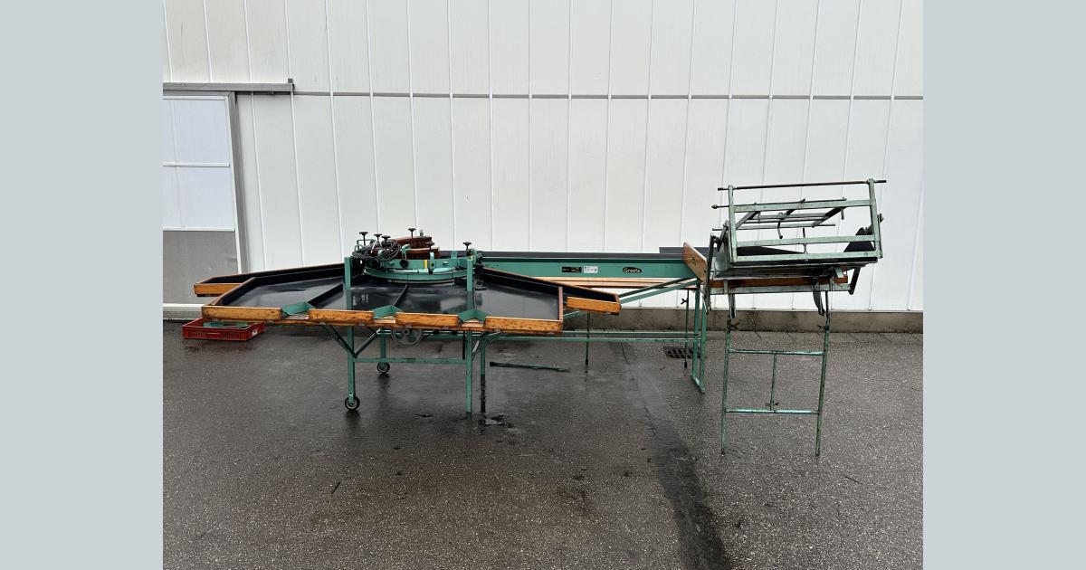 Greefa A3 apple & fruit sorting machine • Duijndam Machines