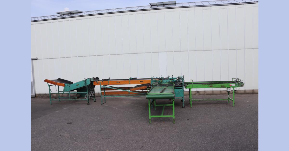 Greefa A4 apple grader with 2 packing conveyors • Duijndam Machines
