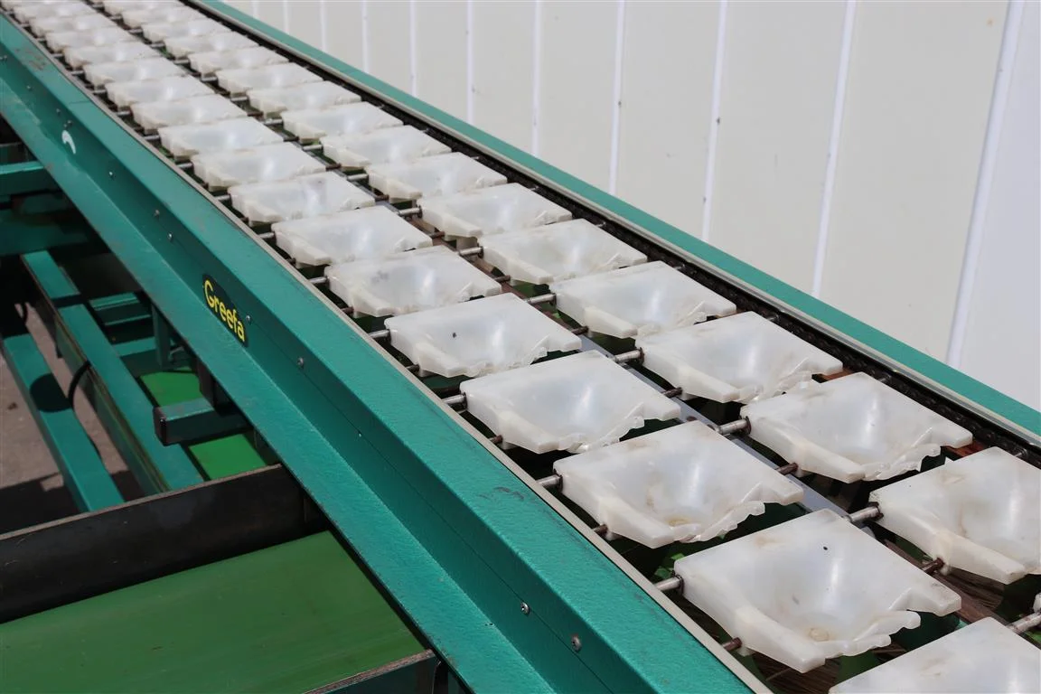 Greefa mechanical weight grader for apples • Duijndam Machines