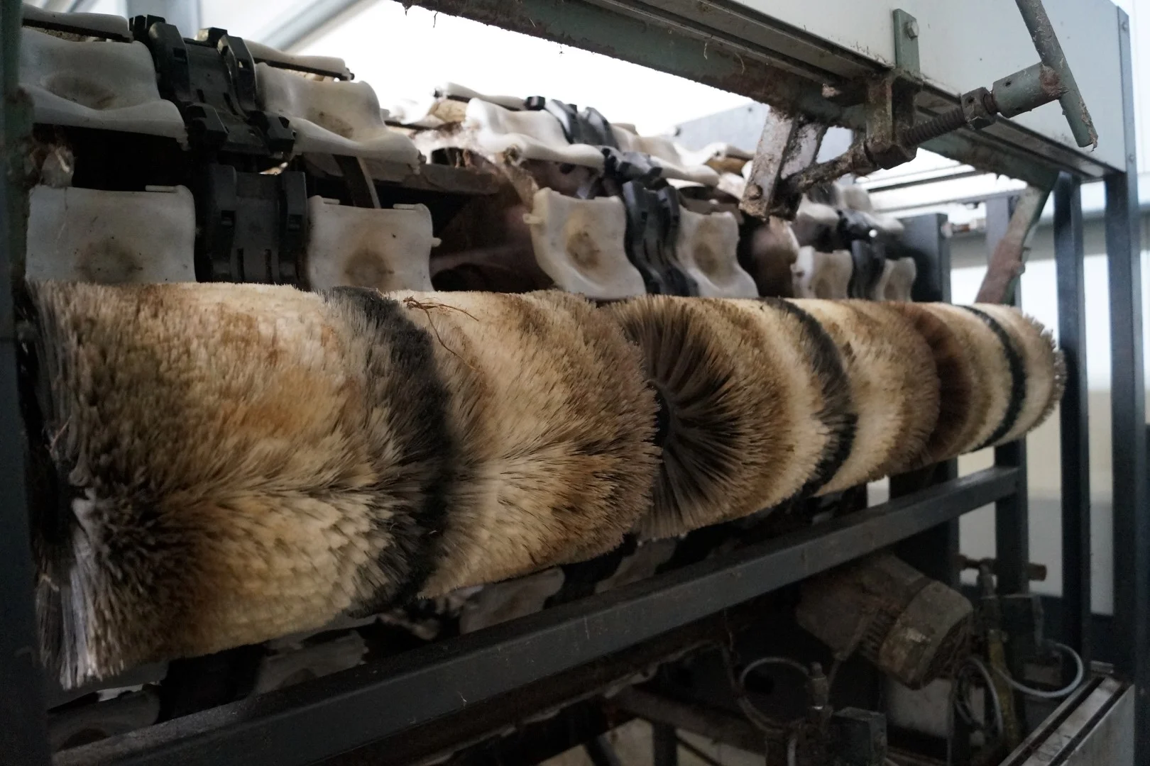 Greefa Geosort weight grader for flower bulbs, garlic or onions ...