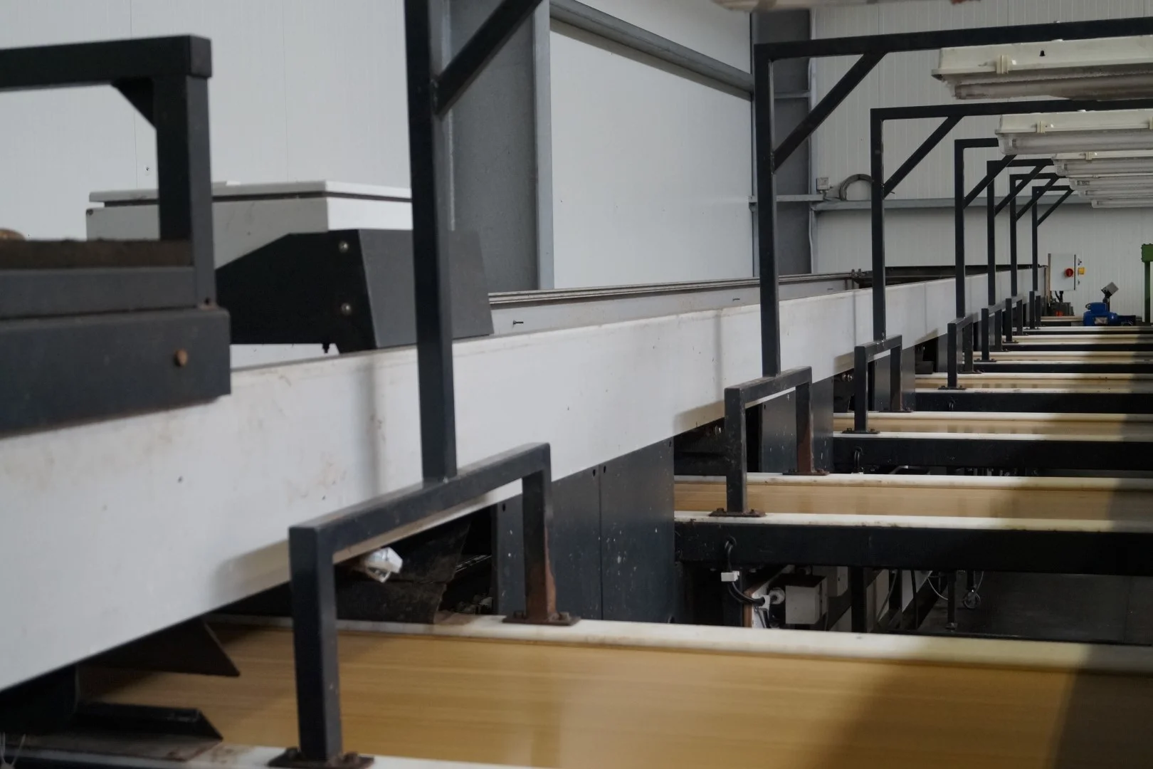 Greefa Geosort weight grader for flower bulbs, garlic or onions ...