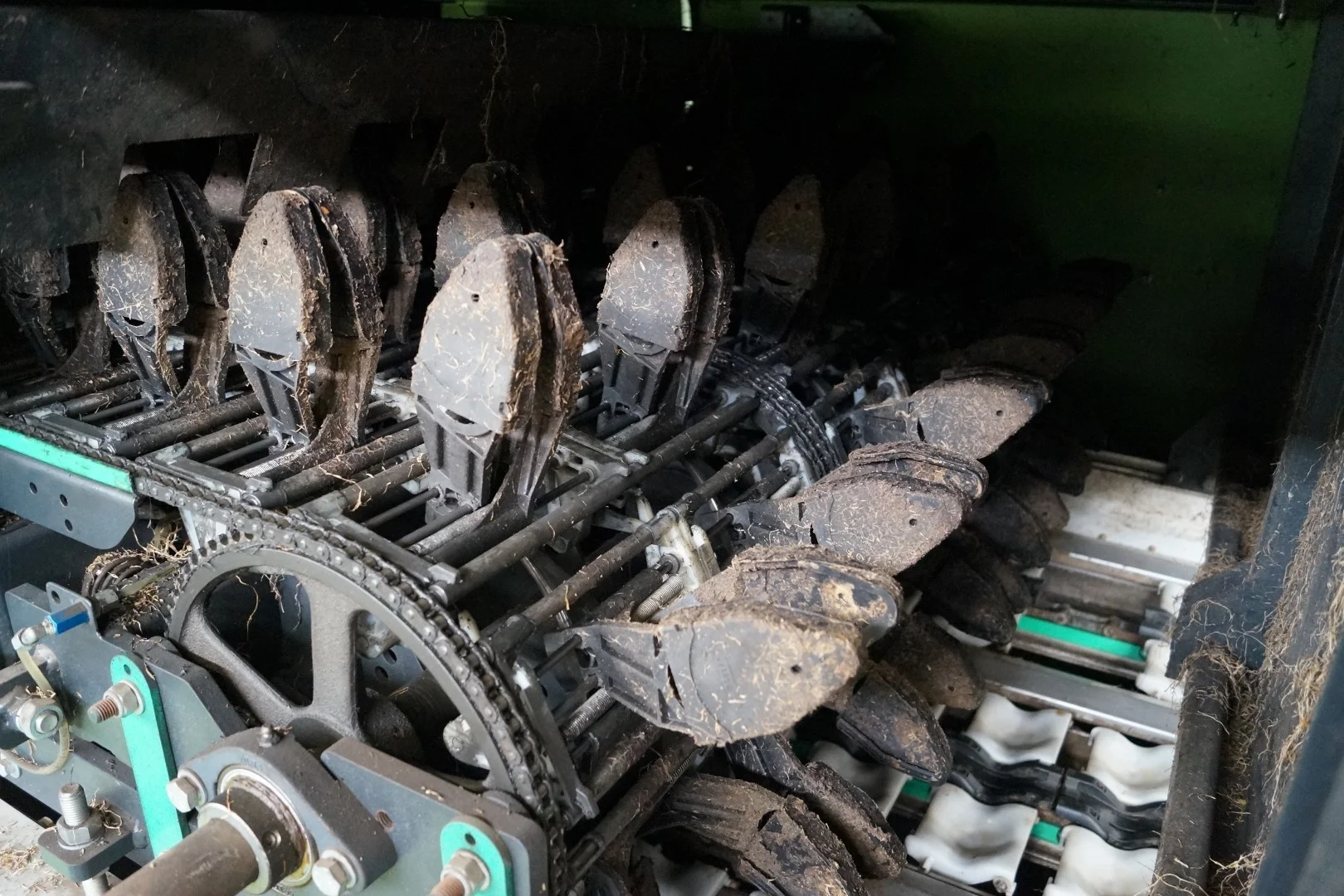 Greefa Geosort weight grader for flower bulbs, garlic or onions ...