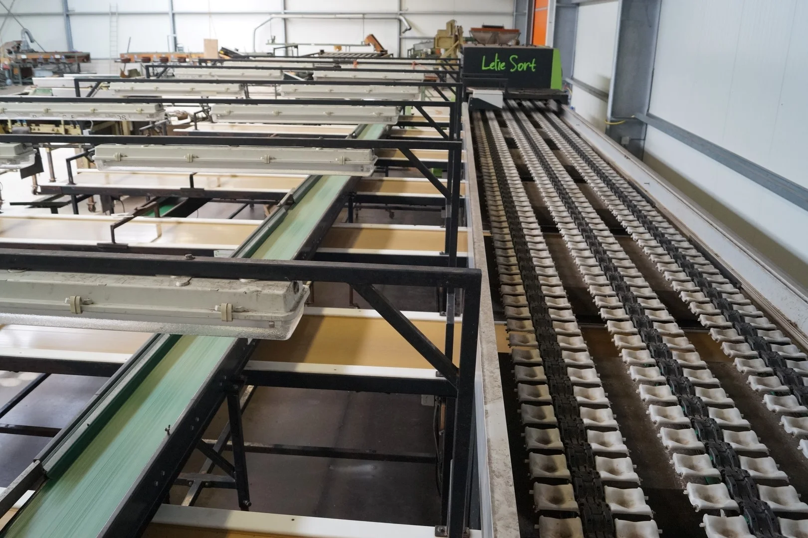 Greefa Geosort weight grader for flower bulbs, garlic or onions ...