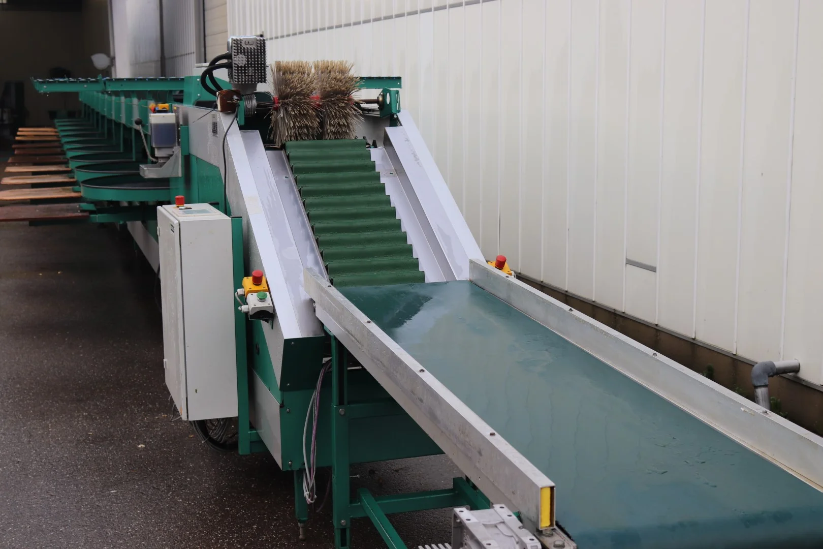 Greefa QSort -10 weight sorting machine for cucumbers • Duijndam Machines