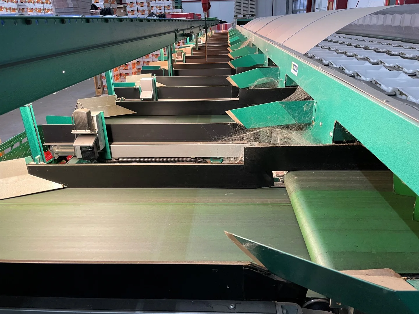 Greefa MSE 4-15 sorting machine • Duijndam Machines