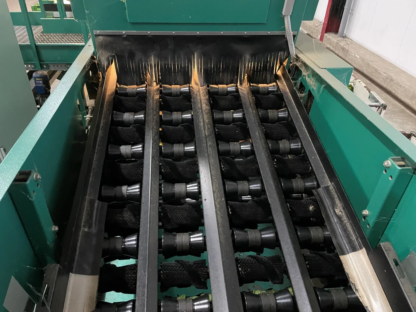 Greefa MSE 4-15 sorting machine • Duijndam Machines