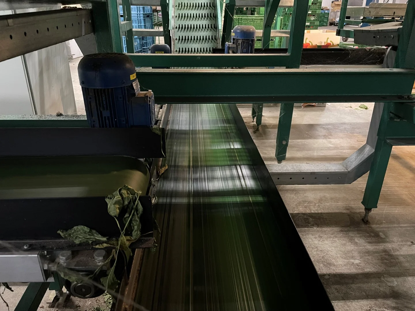 Greefa MSE 4-15 sorting machine • Duijndam Machines