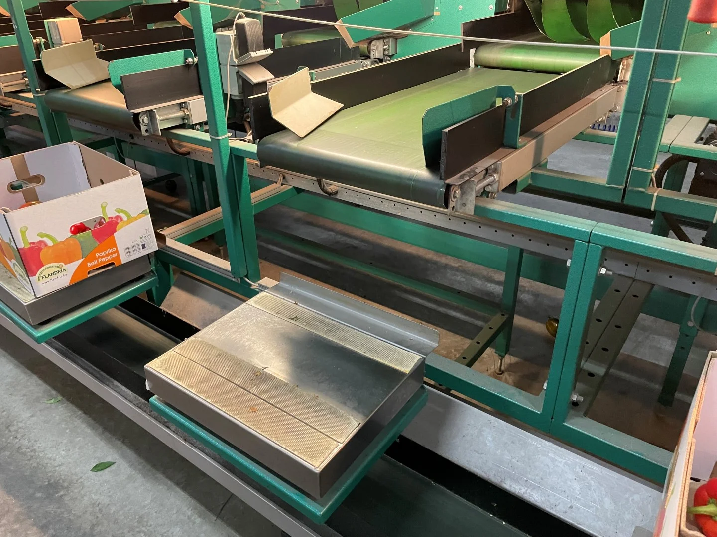 Greefa MSE 4-15 sorting machine • Duijndam Machines