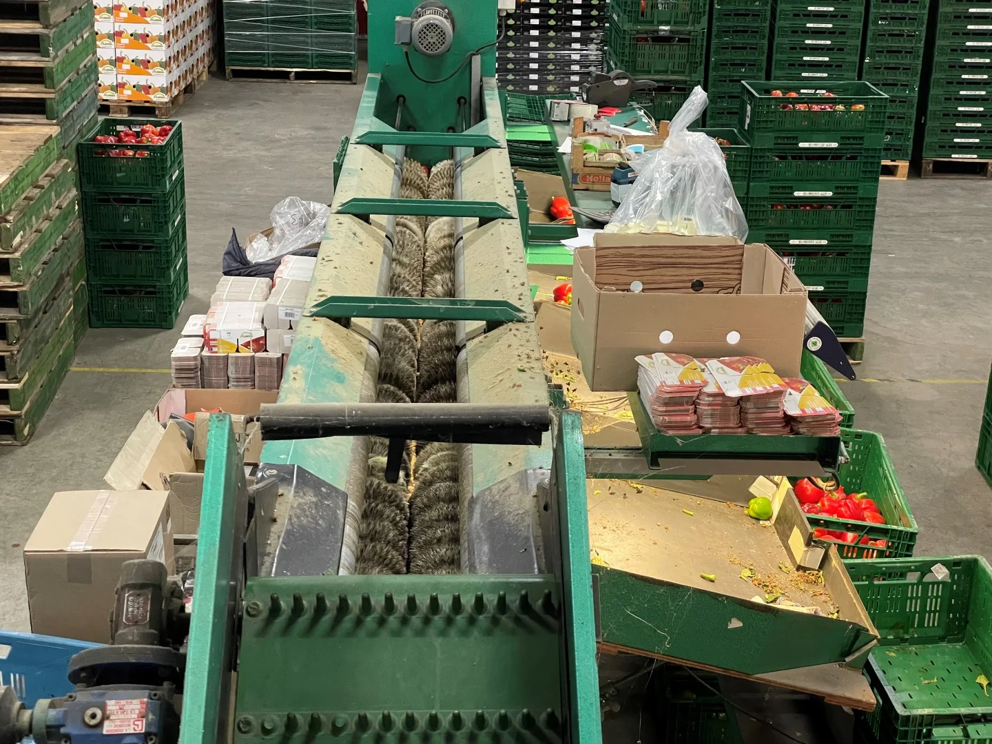 Greefa MSE 4-15 sorting machine • Duijndam Machines