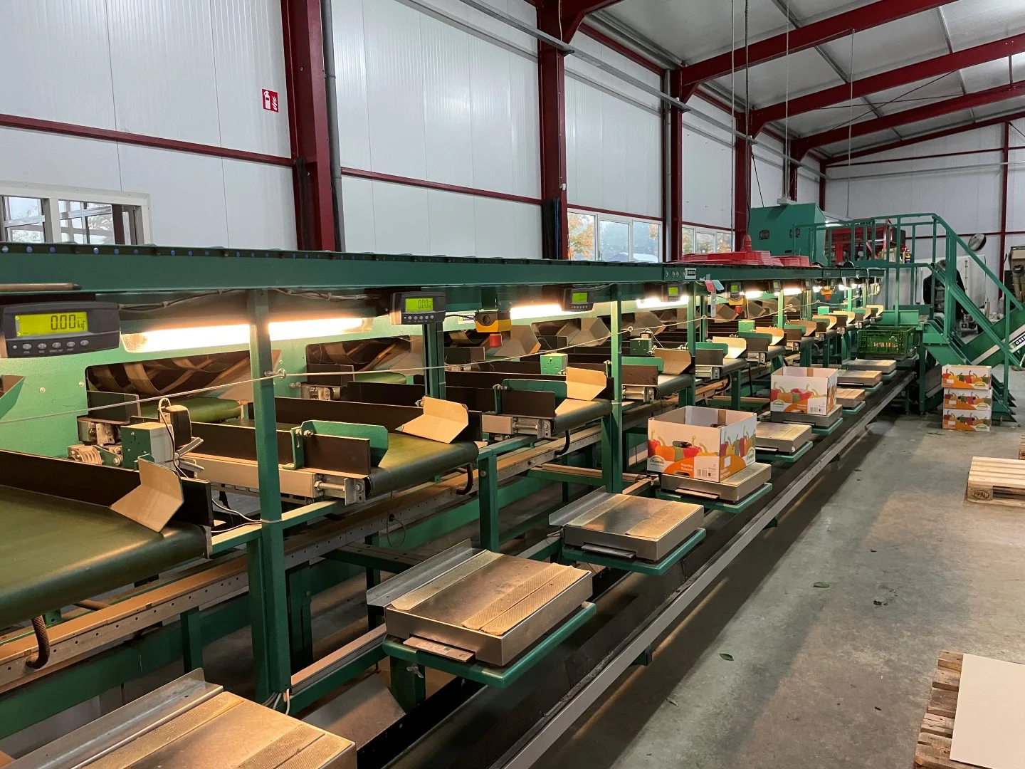 Greefa MSE 4-15 sorting machine • Duijndam Machines
