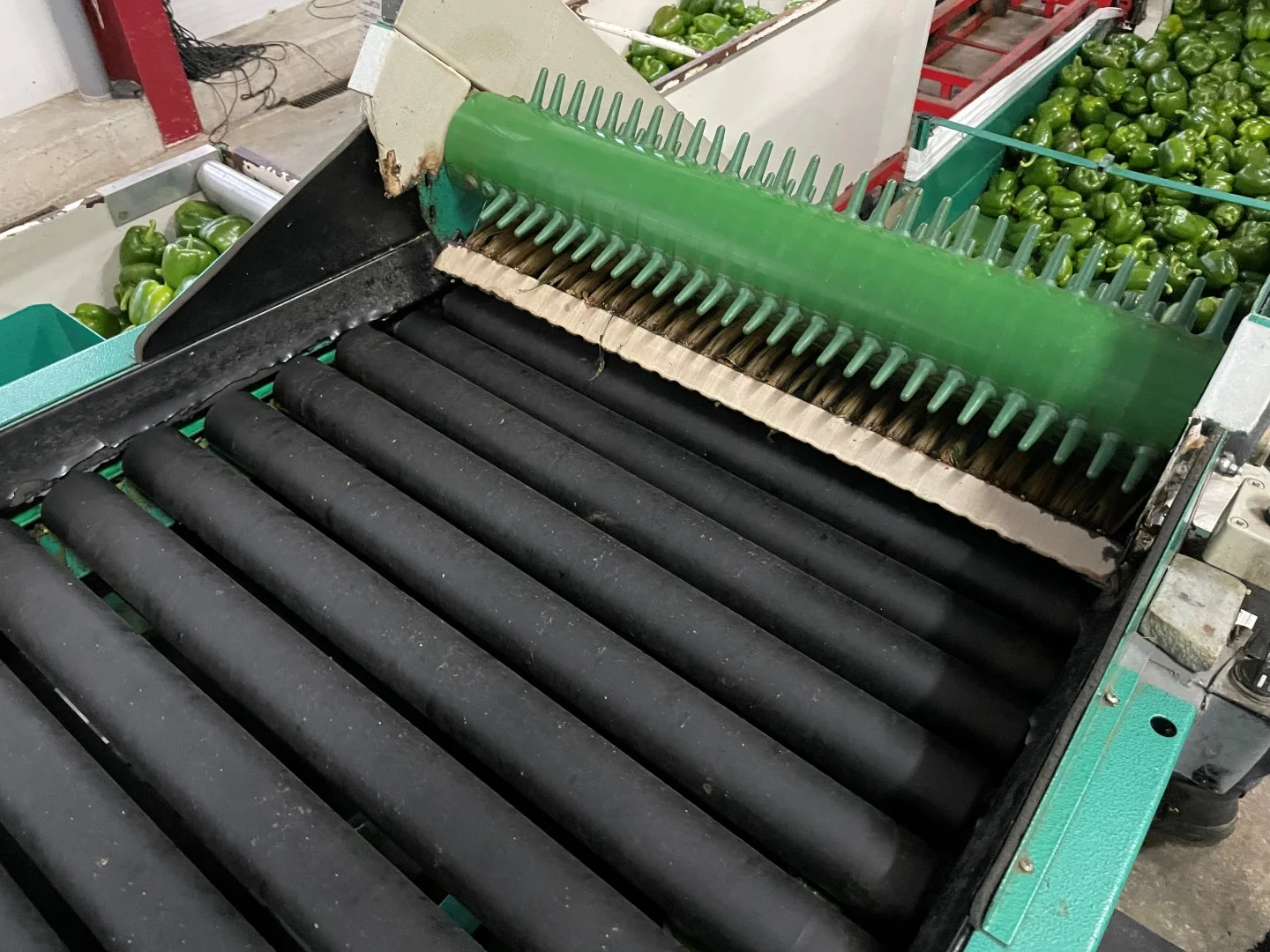 Greefa MSE 4-15 sorting machine • Duijndam Machines