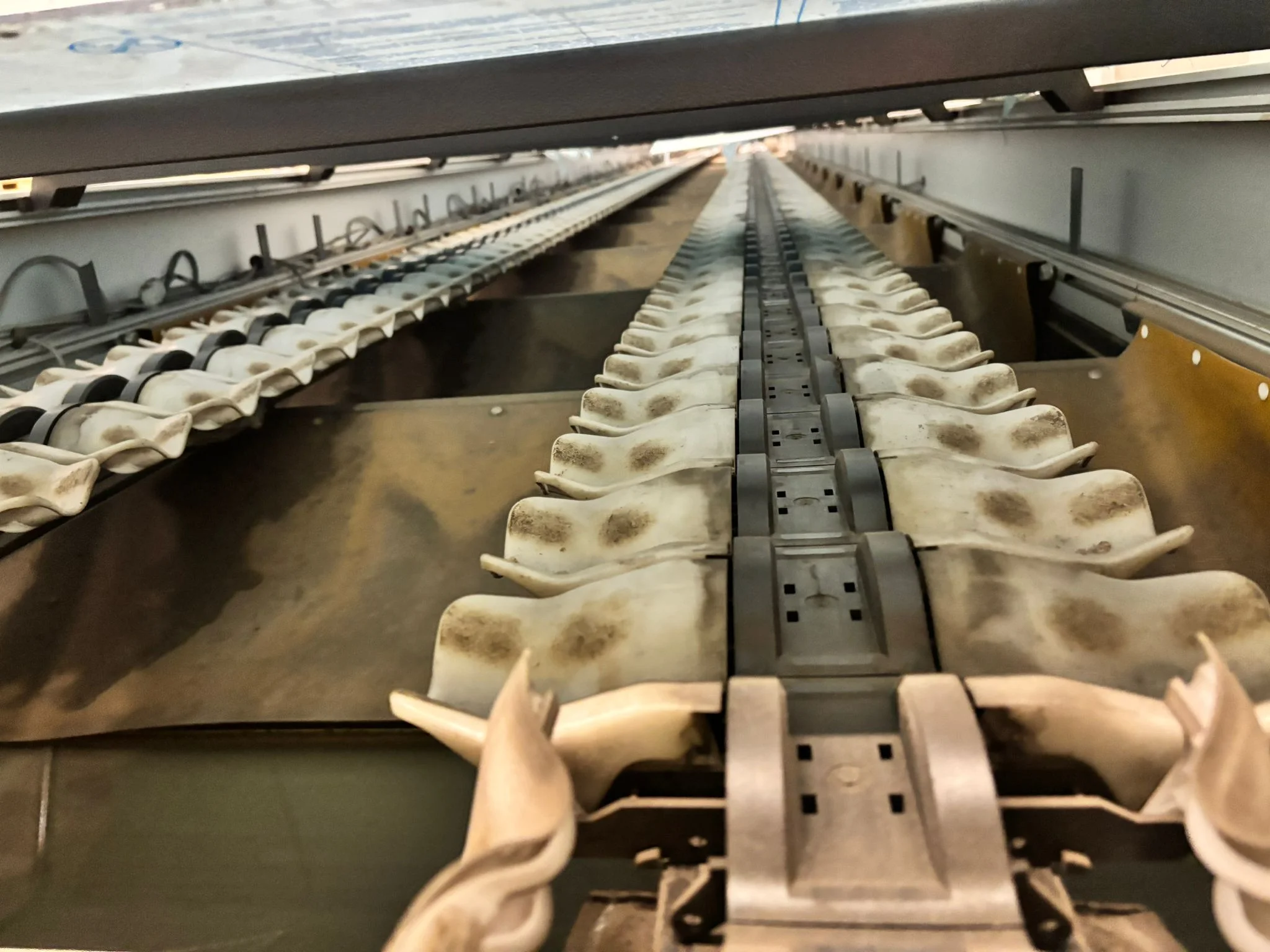 Greefa SMART SORT tomato sorting machine with 21 sortings • Duijndam ...