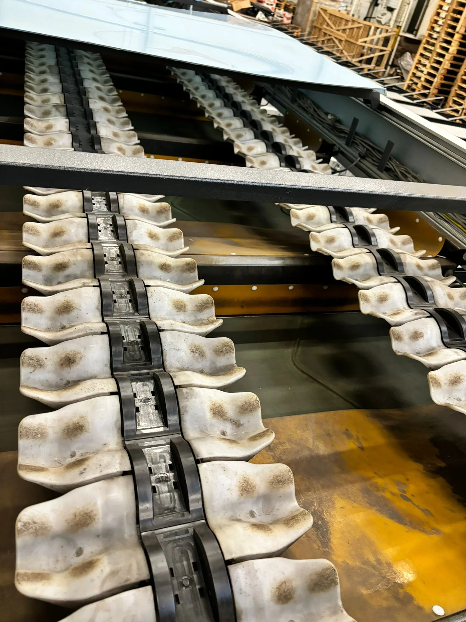 Greefa SMART SORT tomato sorting machine with 21 sortings • Duijndam ...