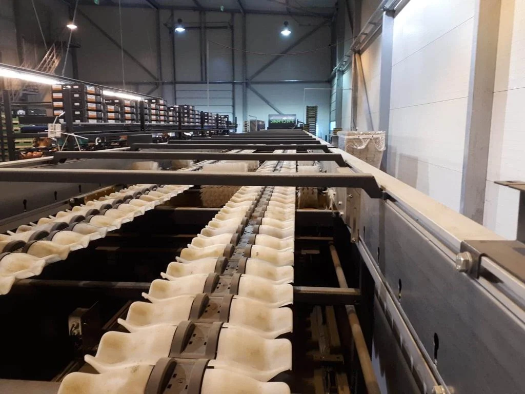 Greefa Smartsort 4 lane grading line • Duijndam Machines