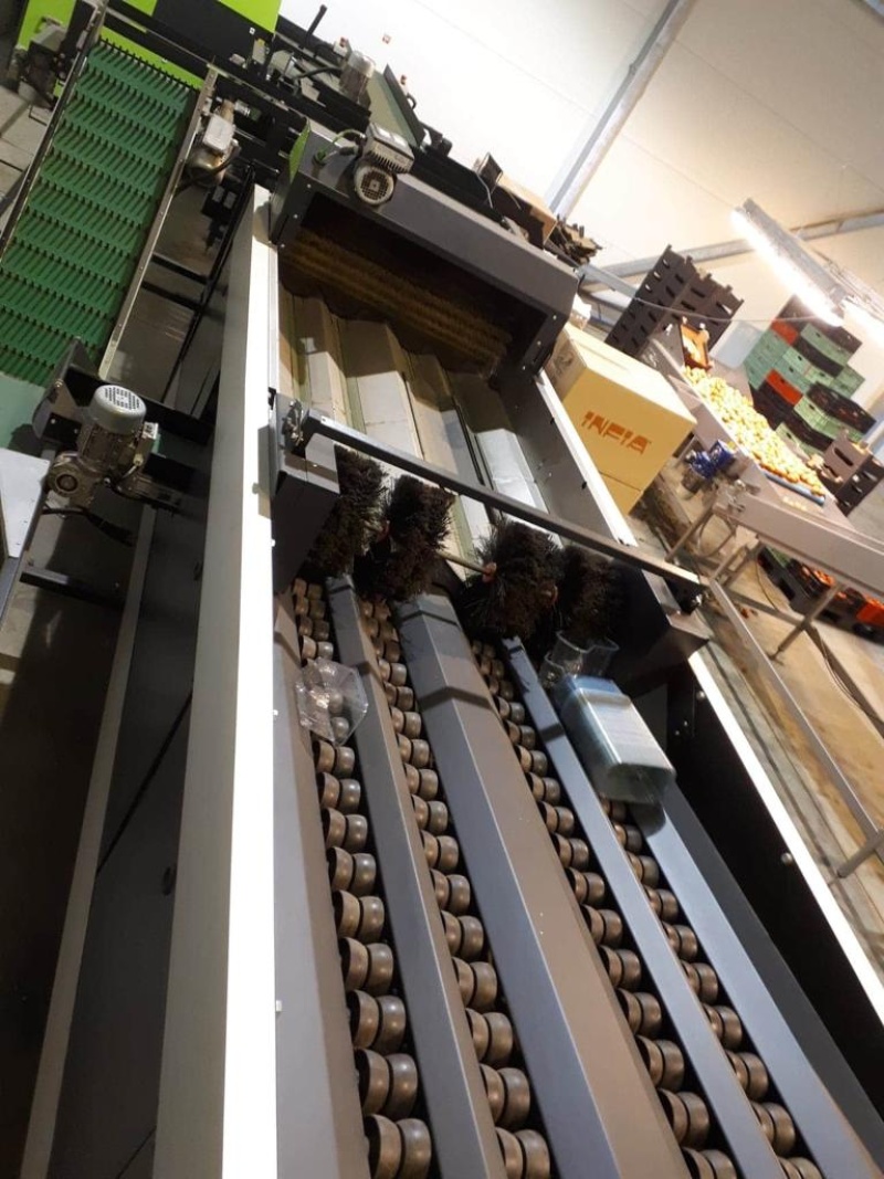 Greefa Smartsort 4 lane grading line • Duijndam Machines