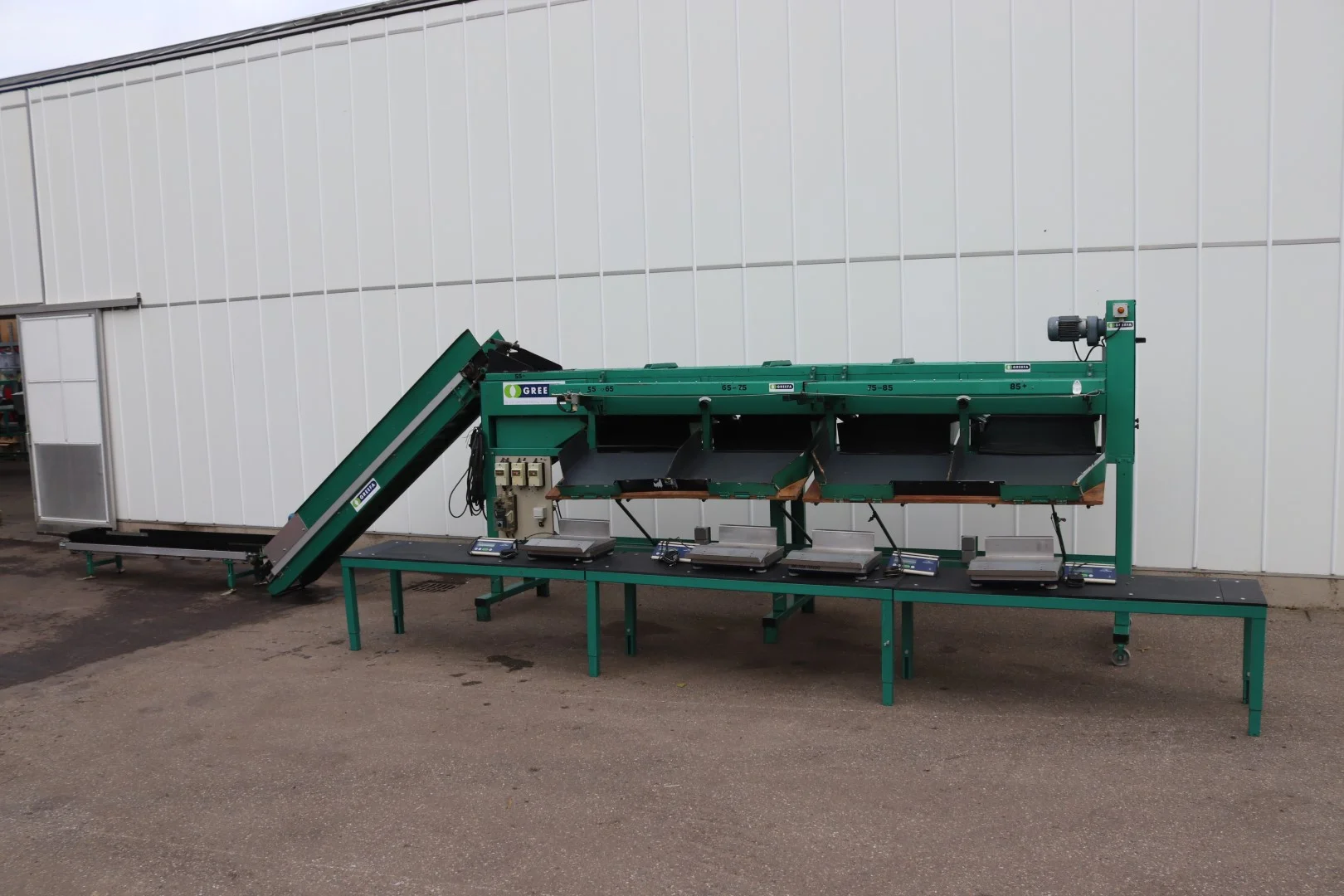 Greefa sorting machine for peppers • Duijndam Machines