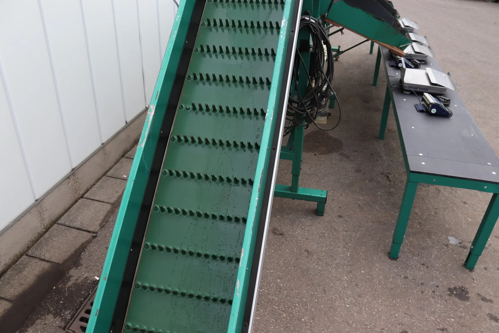 Greefa sorting machine for peppers • Duijndam Machines