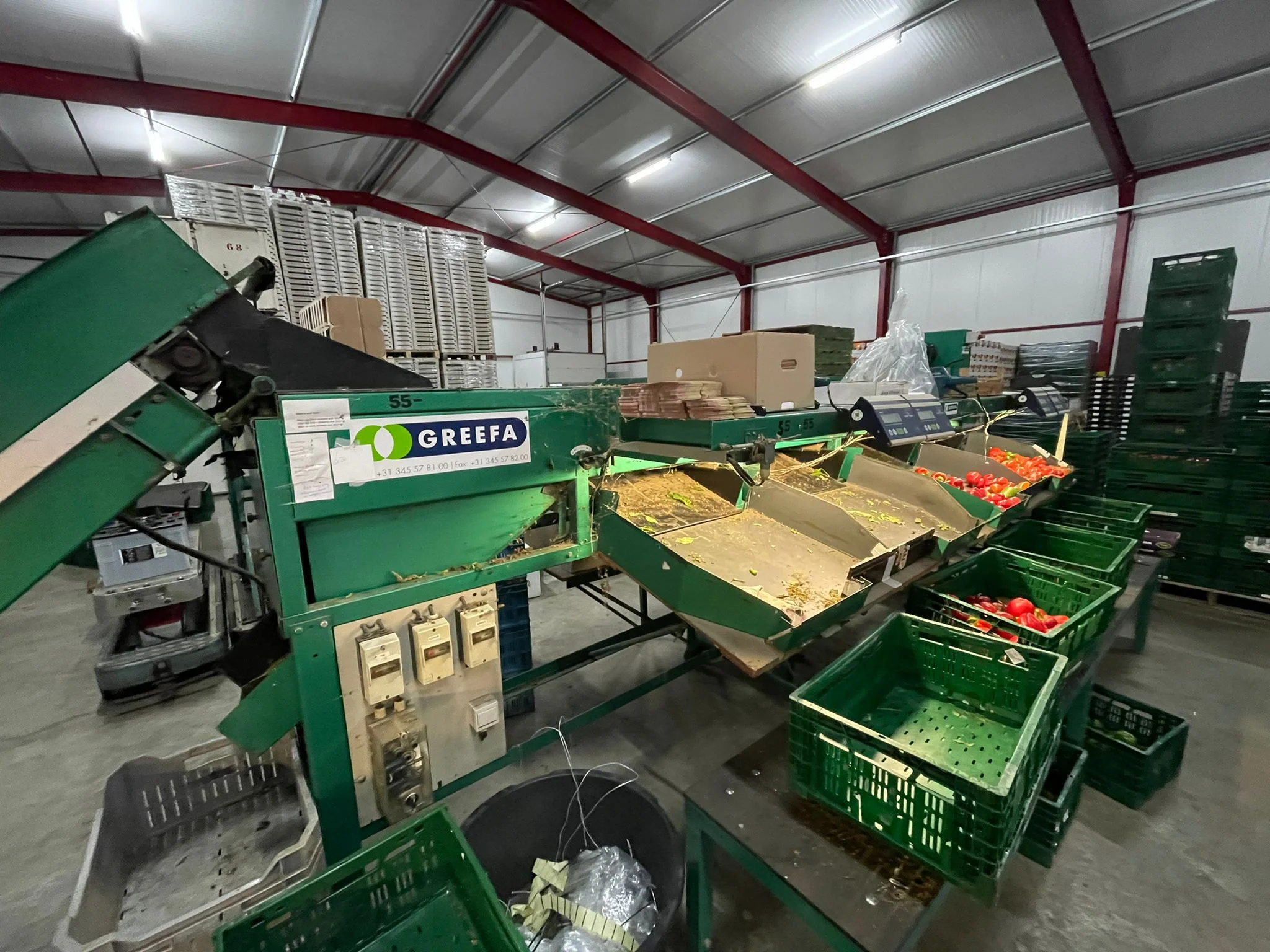 Greefa sorting machine for peppers • Duijndam Machines
