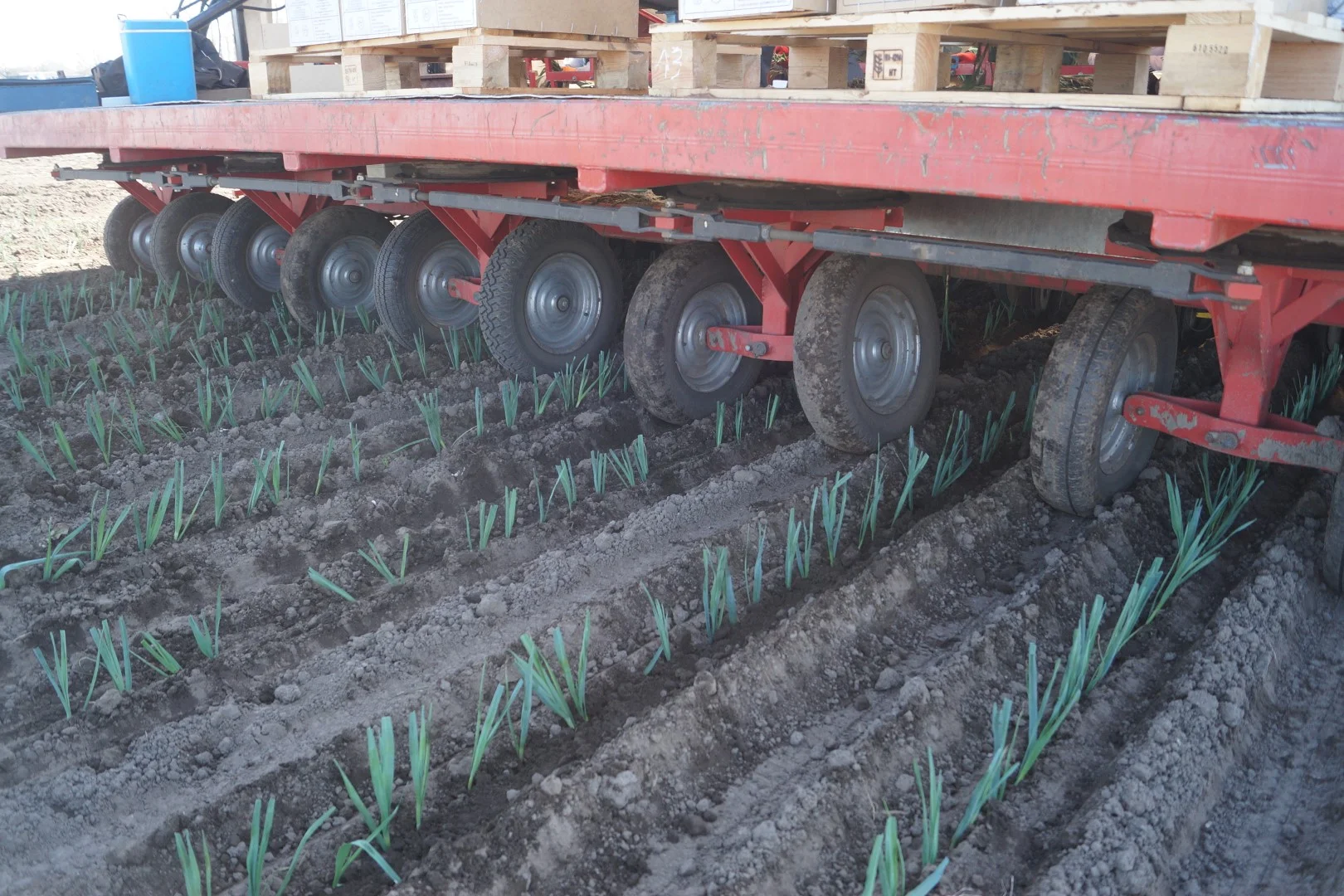 Gregoire Besson preiplantmachine 9 rijen • Duijndam Machines