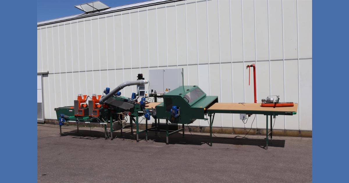 Havatec Potveer Quality Buncher Pro bunching machine • Duijndam Machines