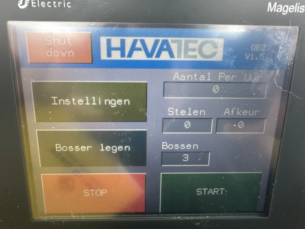 Havatec QB 2.0 flower processing machine for tullips • Duijndam Machines