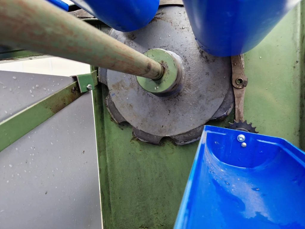 Jamafa rose length sorting machine with 10 stations • Duijndam Machines