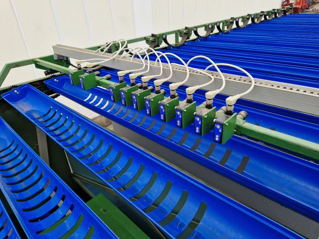 Jamafa rose length sorting machine with 10 stations • Duijndam Machines