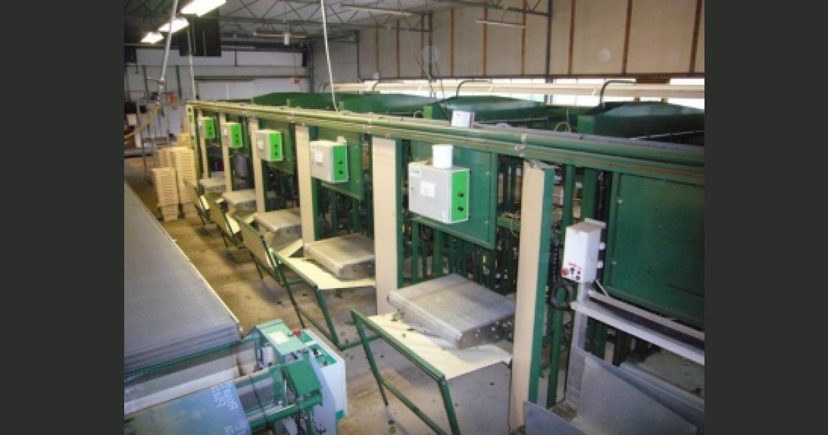 Jamafa rose processing machine with 5 stations • Duijndam Machines