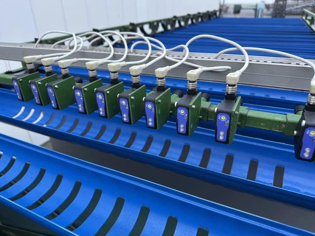 Jamafa length grader for roses and flowers with 10 sortings • Duijndam ...