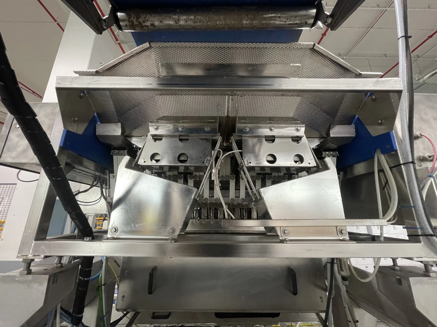 Newtec PCS2009 Weighing line for products in trays with flow pack ...
