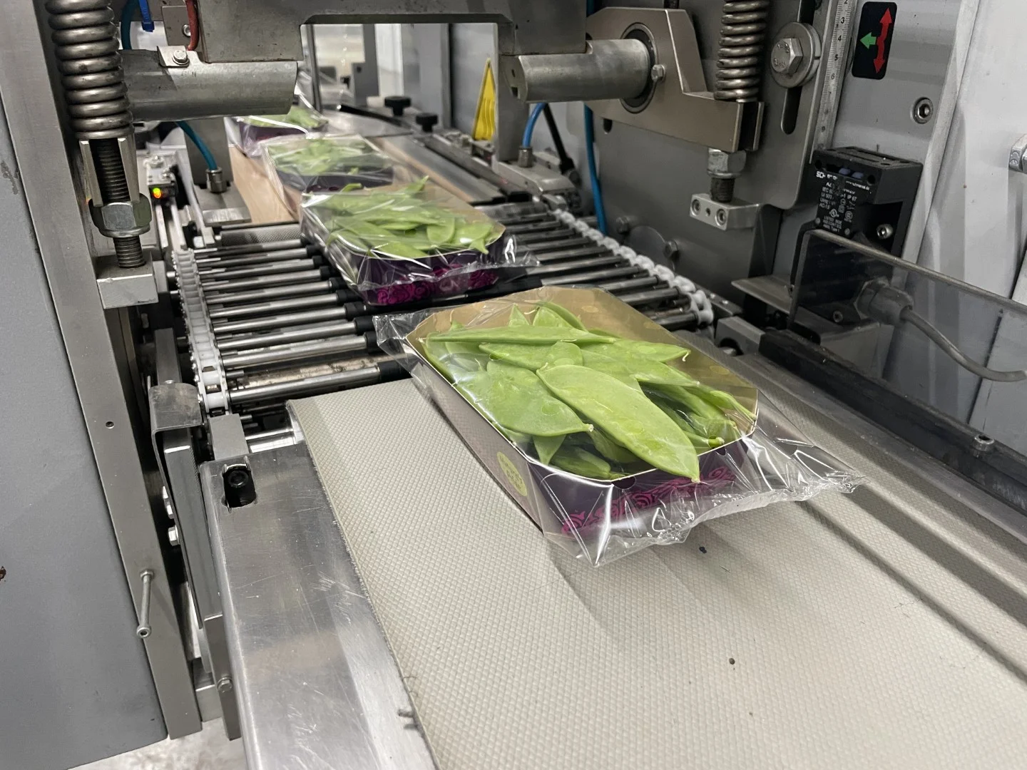 Newtec PCS2009 Weighing line for products in trays with flow pack ...