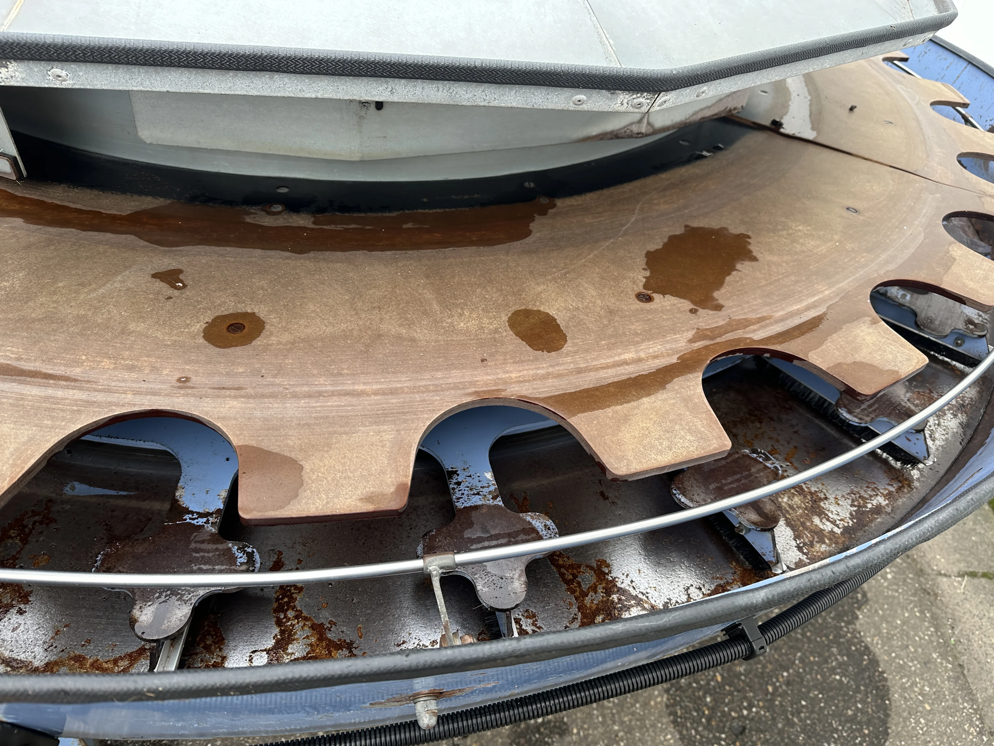 Javo Direct potting machine for Phalaenopsis Orchids • Duijndam Machines