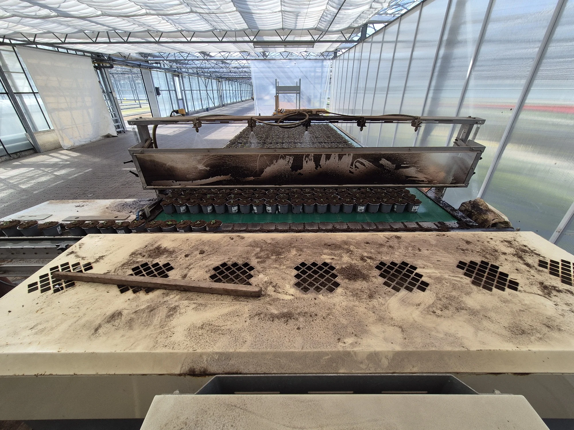 Javo JOR transportadora de recogida 730 x 200 cm • Duijndam Machines