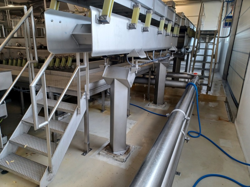 Key ADR 4 Automatic Defect Removal System for french fries • Duijndam ...
