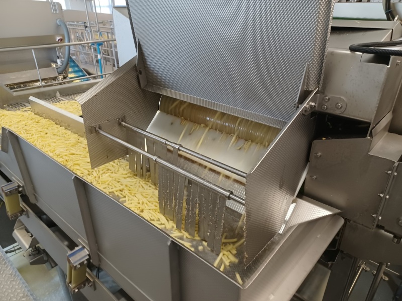 Key ADR 4 Automatic Defect Removal System for french fries • Duijndam ...