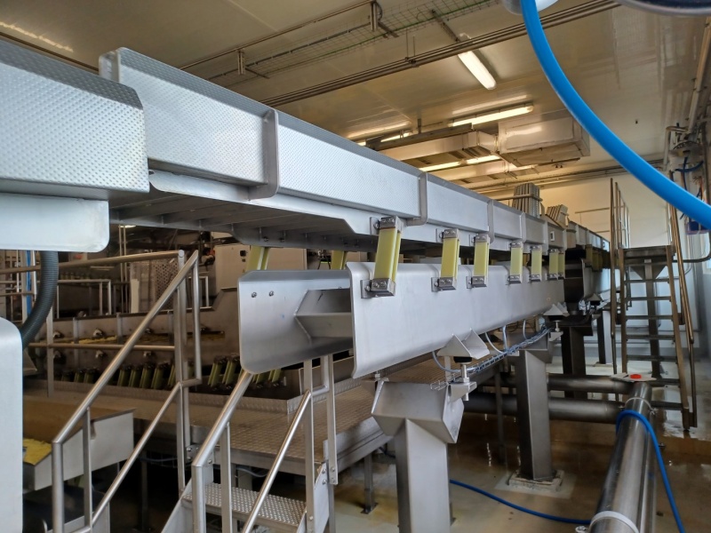 Key ADR 4 Automatic Defect Removal System for french fries • Duijndam ...