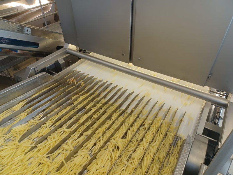 Key ADR 4 Automatic Defect Removal System for french fries • Duijndam ...