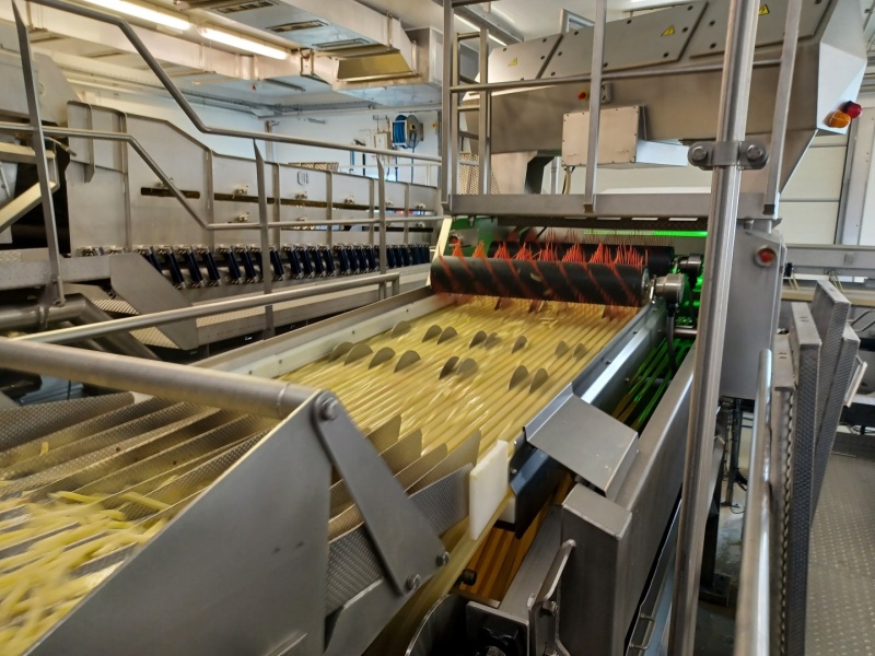 Key ADR 4 Automatic Defect Removal System for french fries • Duijndam ...